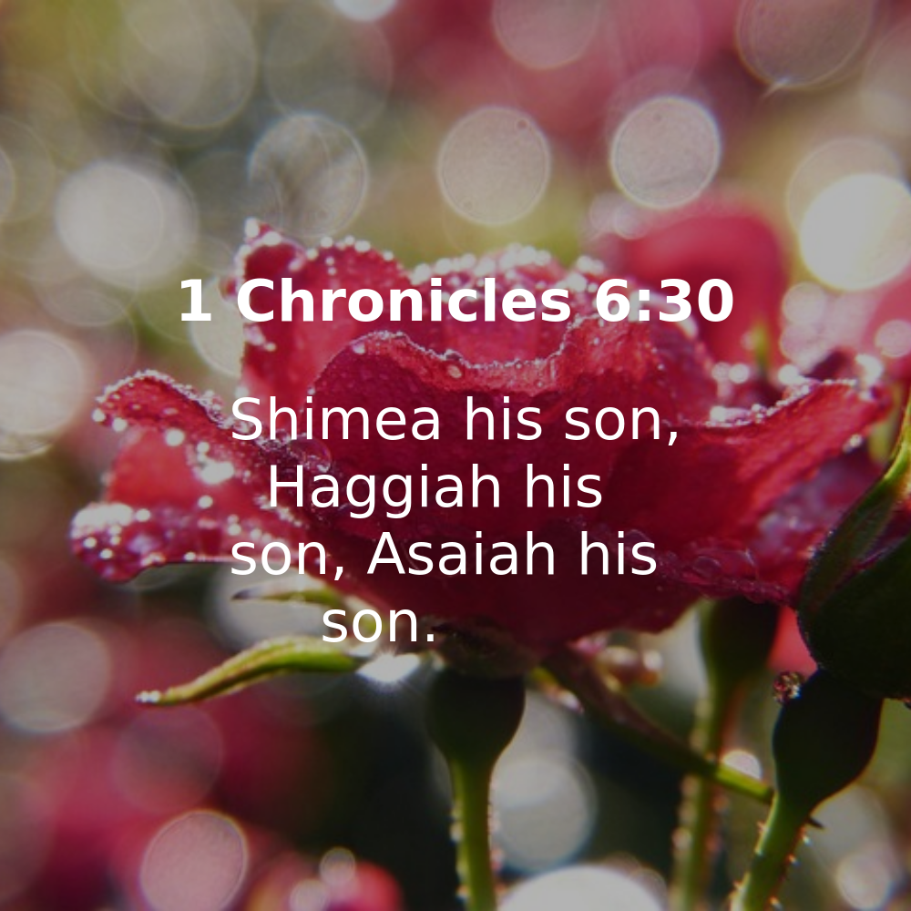 January 11, 2026 Daily Bible Verse - Bibleverses.net