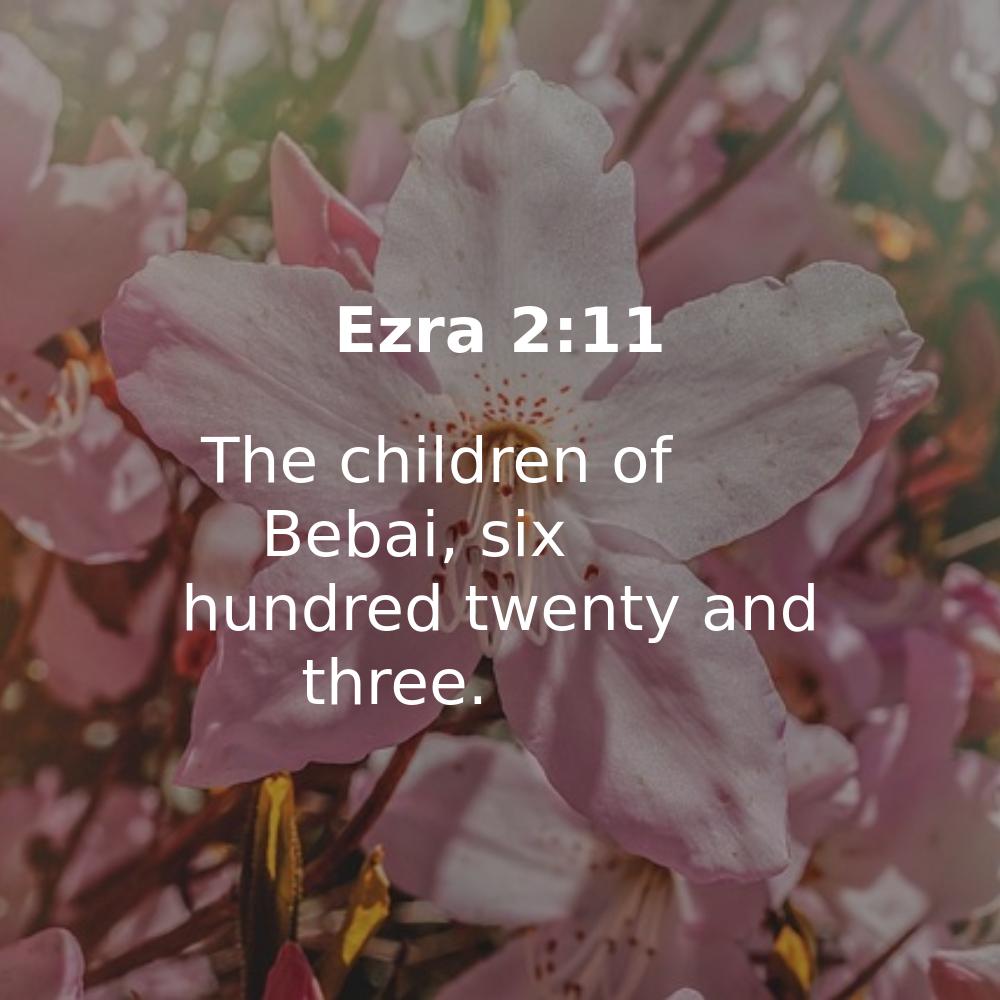 February 17, 2024 Daily Bible Verse - Bibleverses.net