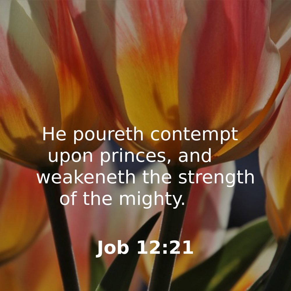January 17, 2025 Daily Bible Verse - Bibleverses.net