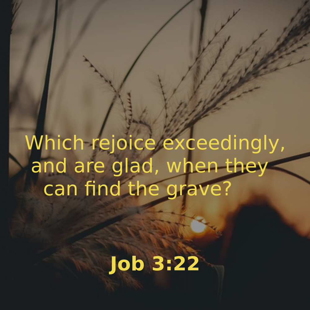 October 23, 2024 Daily Bible Verse - Bibleverses.net