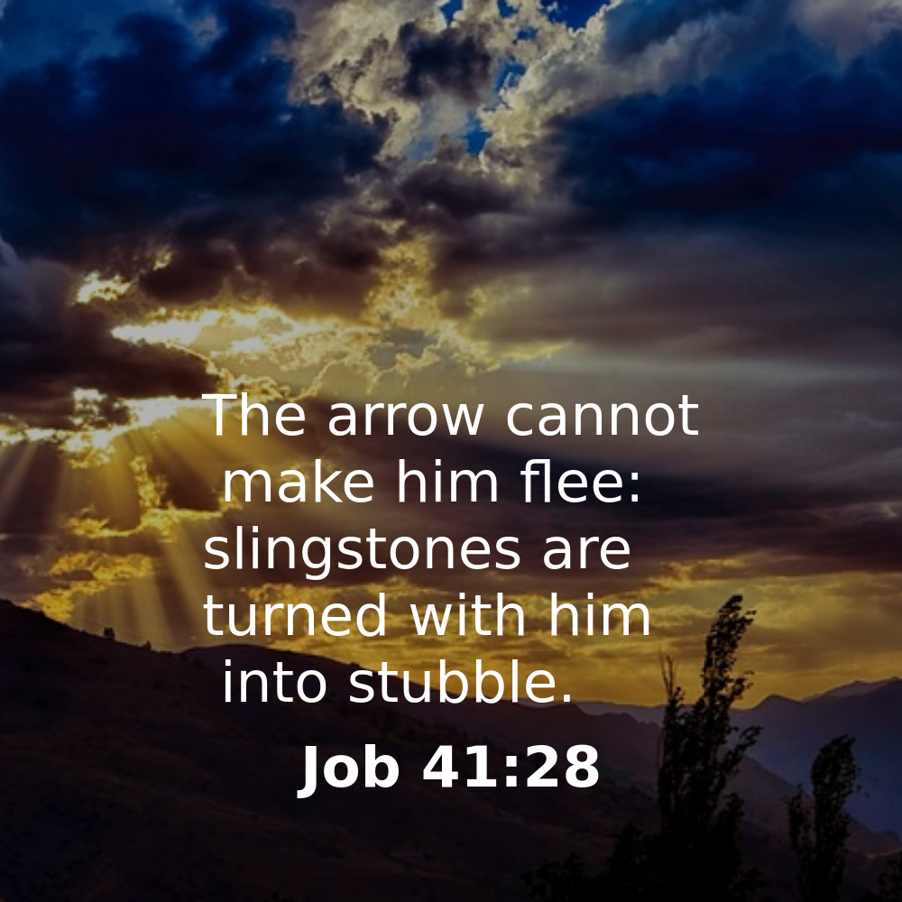 October 09, 2024 Daily Bible Verse - Bibleverses.net