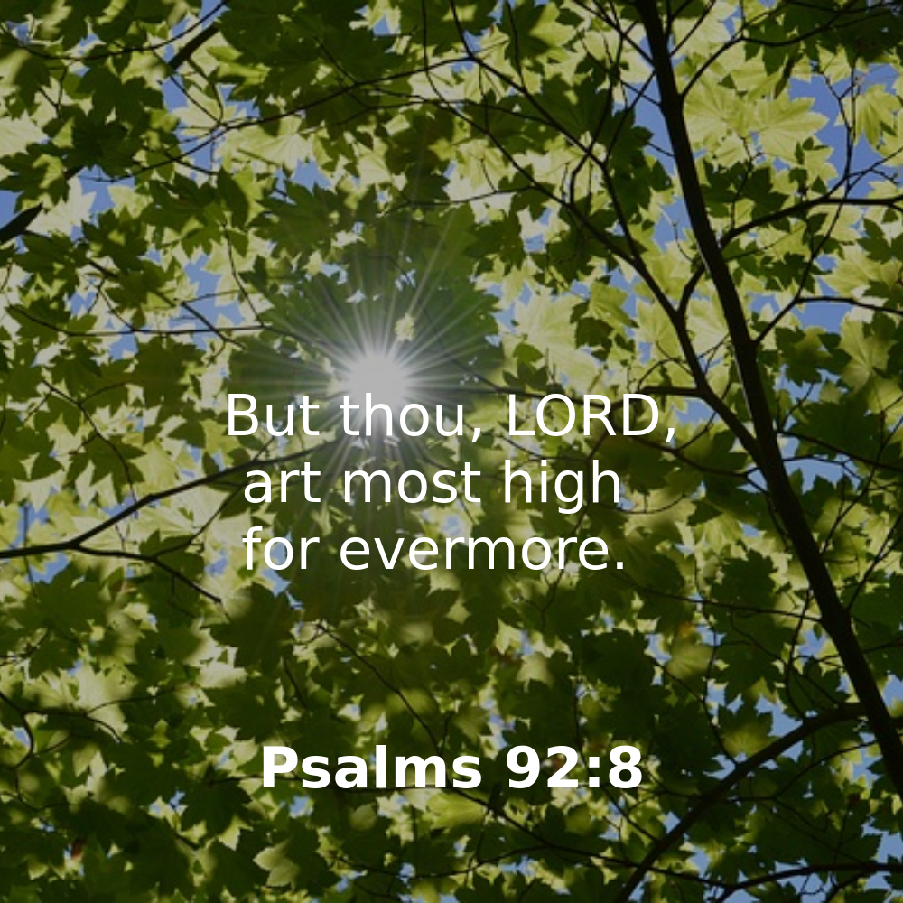 April 09, 2025 Daily Bible Verse - Bibleverses.net